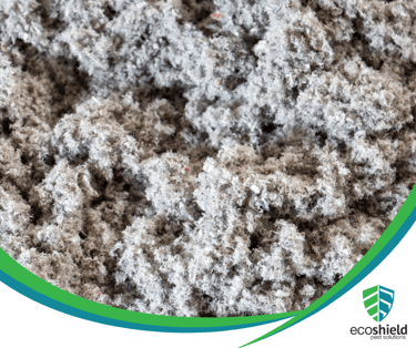 Can Rodents Chew Through Spray Foam Insulation?