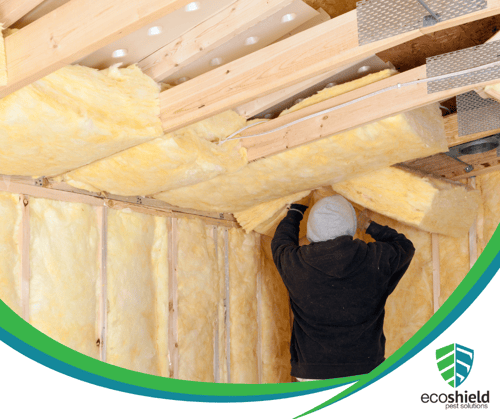 Can Rodents Chew Through Spray Foam Insulation?