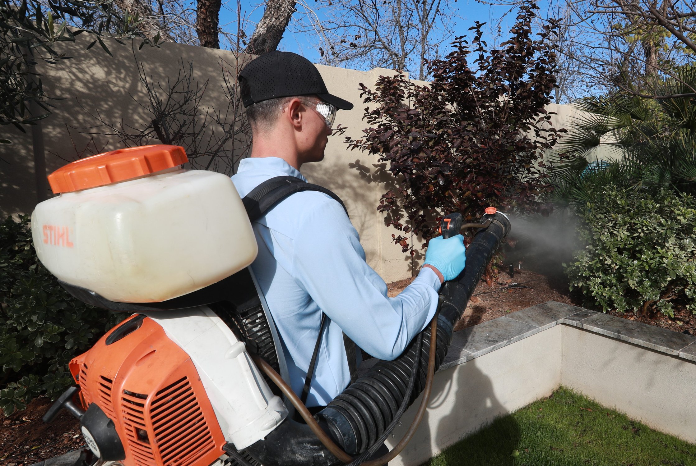 Residential Pest Control and Exterminating for Homeowners