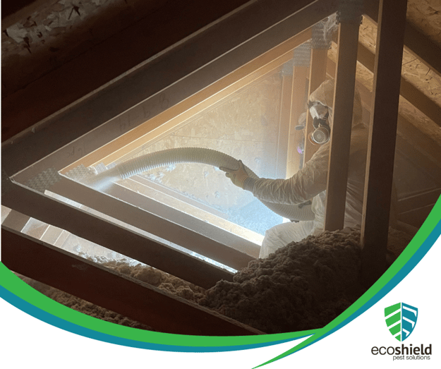 Can Rodents Chew Through Spray Foam Insulation?