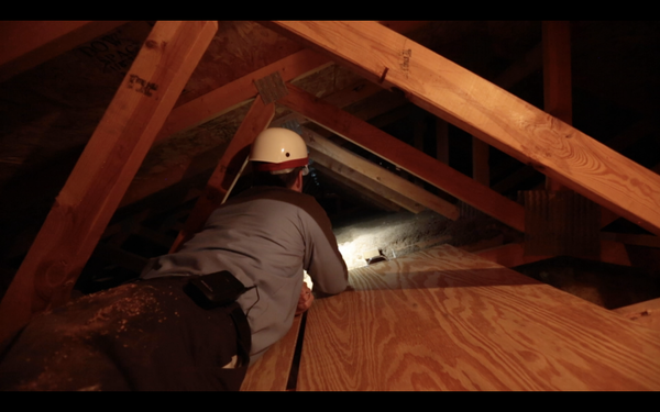 Pest Control | Exterminators | EcoShield Pest Solutions