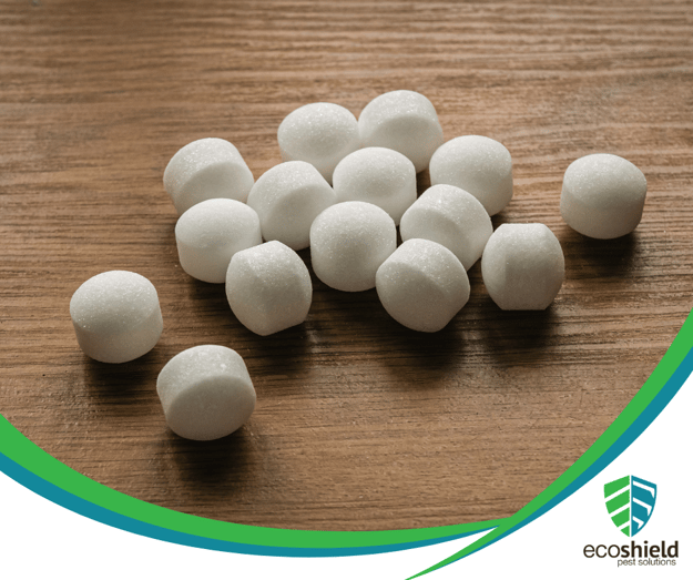 Do Mothballs Repel Rodents?