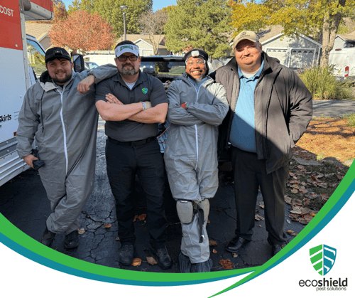 Does Professional Pest Control Make a Good Gift for the Holidays?