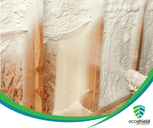 Can Rodents Chew Through Spray Foam Insulation?