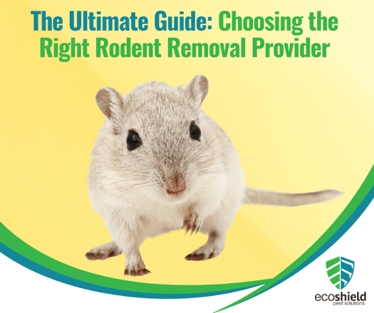 The Ultimate Guide to Choosing the Right Rodent Removal Company