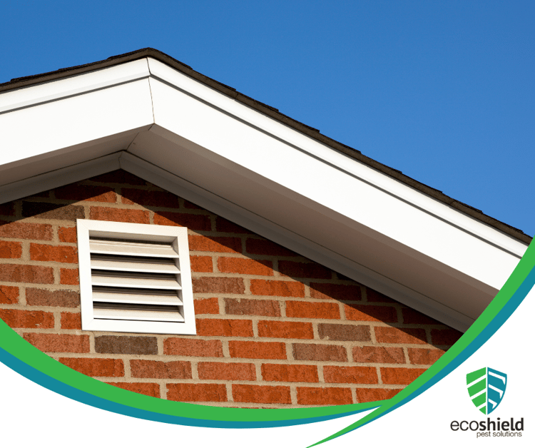 What is the Connection Between Pests and Humidity?