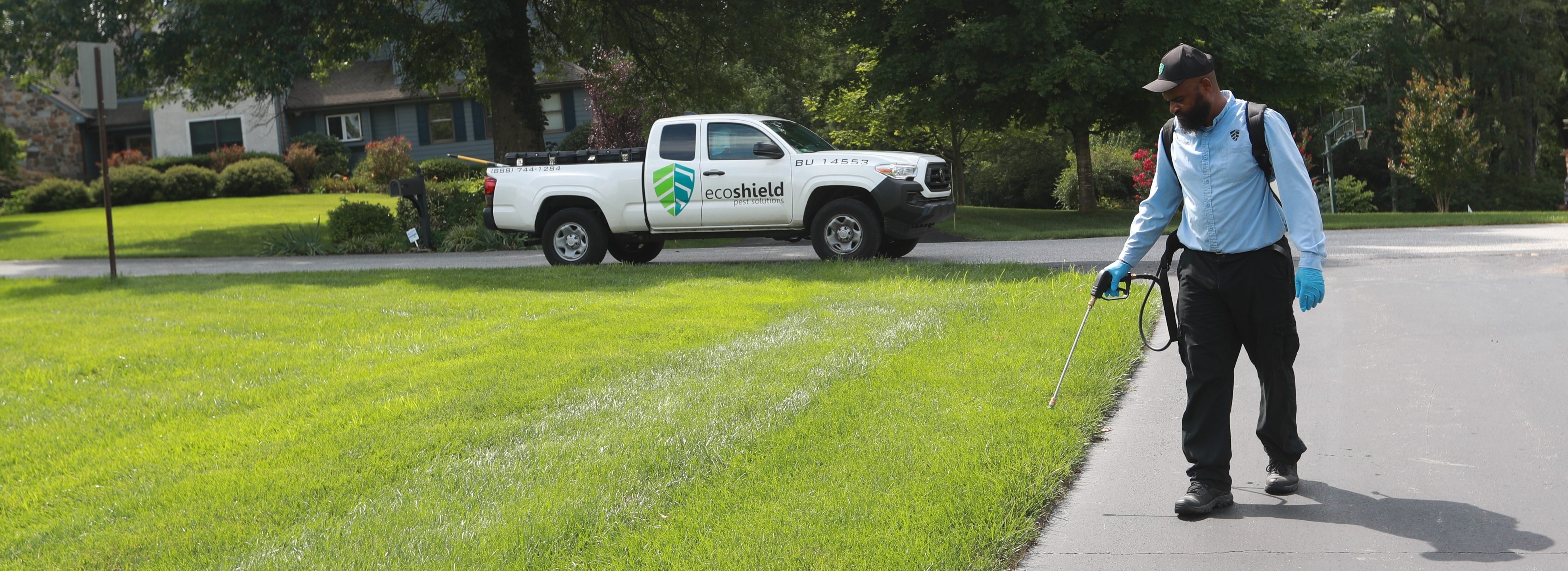 Residential Pest Control and Exterminating for Homeowners