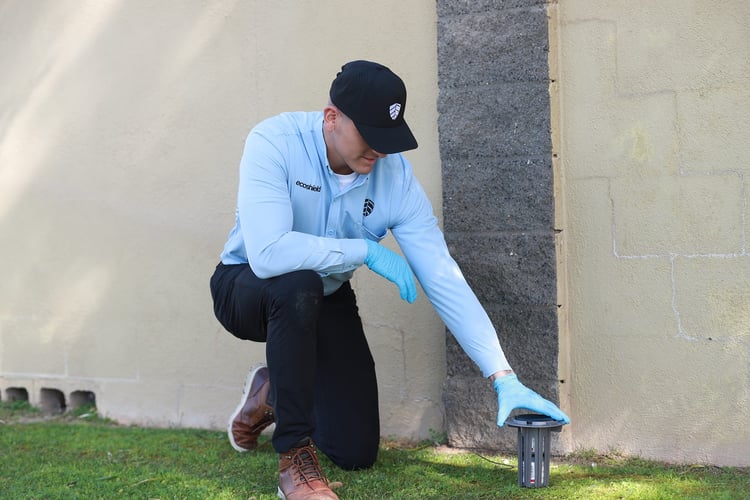 How do I Know if I Have Subterranean Termites in my Home?