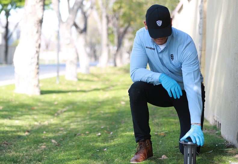 Termite Service | Termite Protection and Monitoring